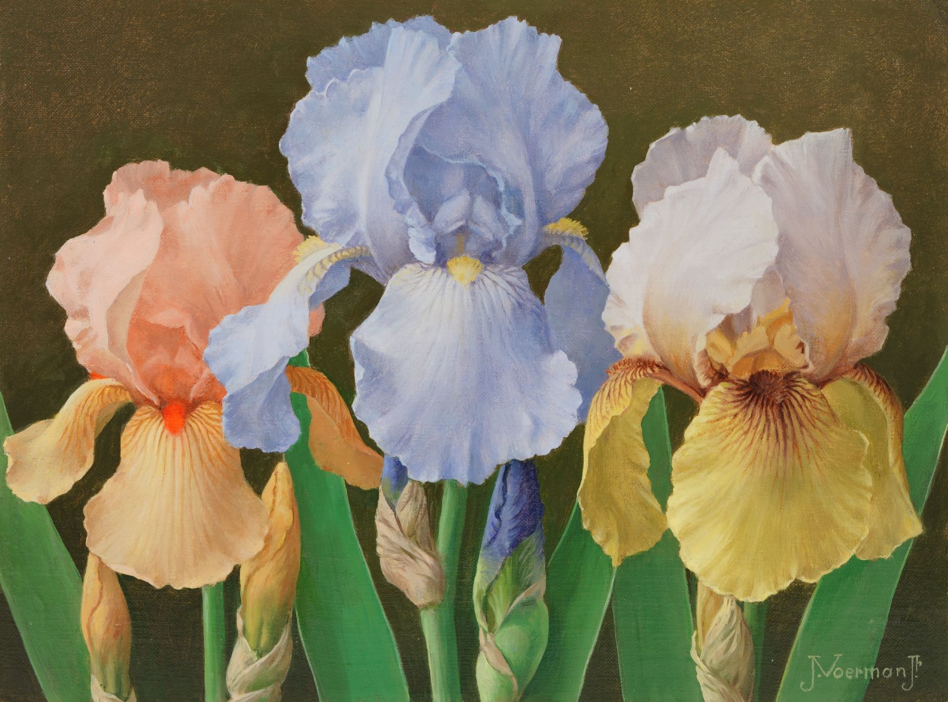 Jan Voerman jr. | Paintings for Sale