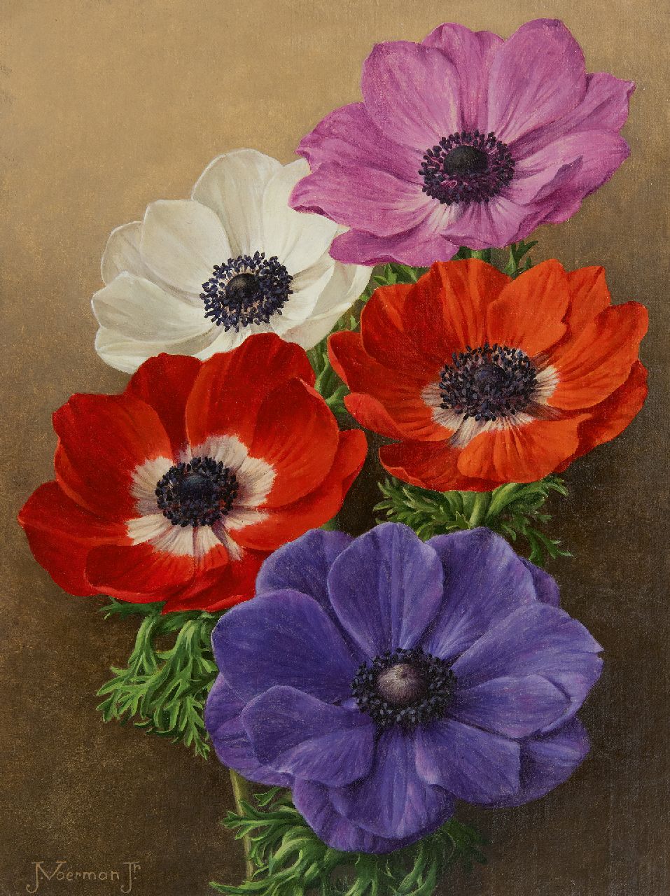 Jan Voerman jr. | Schilderijen te Koop | Anemonen