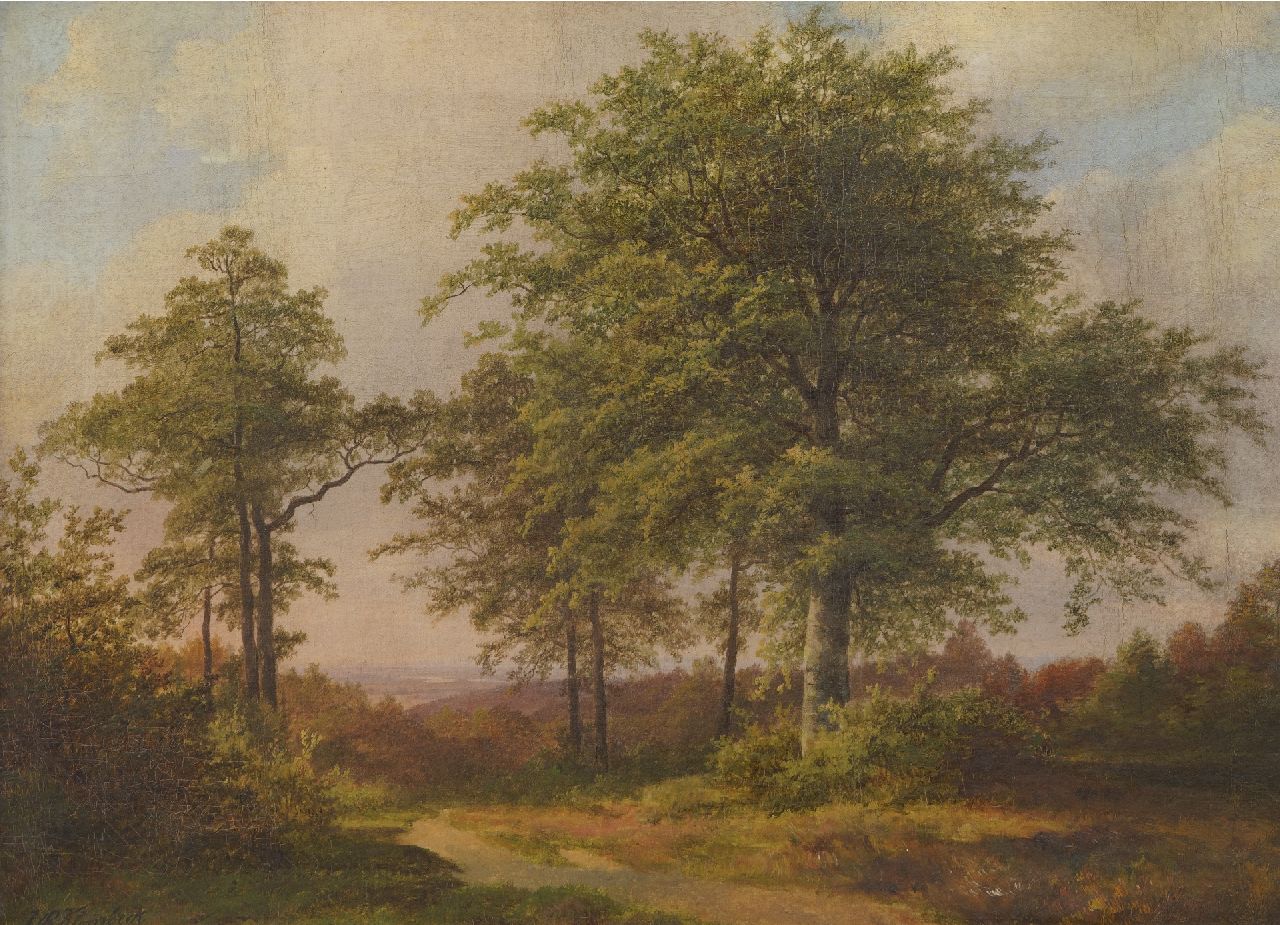 Boom | Schilderijen te Koop | Schilders & Kunstwerken
